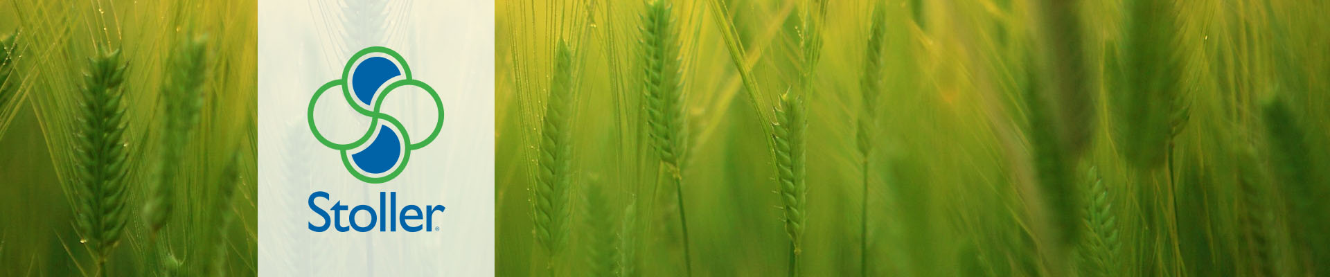 Stoller Group - Avanza Soluciones de Comunicación